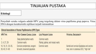 Veruka vulgaris | PPTX