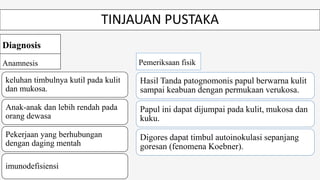 Veruka vulgaris | PPTX