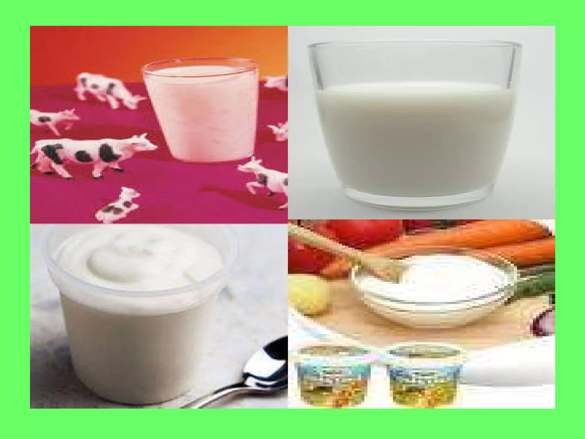 Laptele şi produsele lactate | PPT