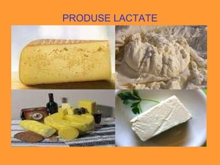 Laptele şi produsele lactate | PPT