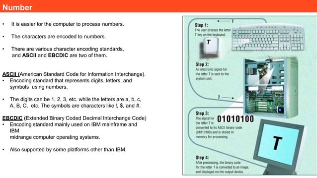 Laptop Basic Knowledge | PPTX