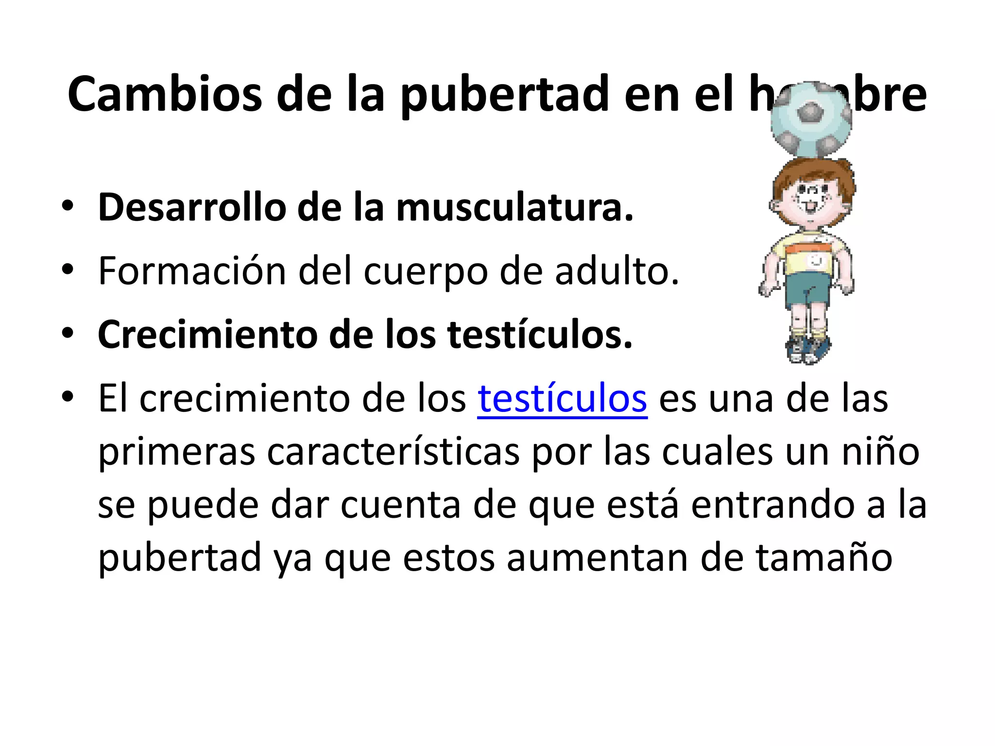 La pubertad | PPTX
