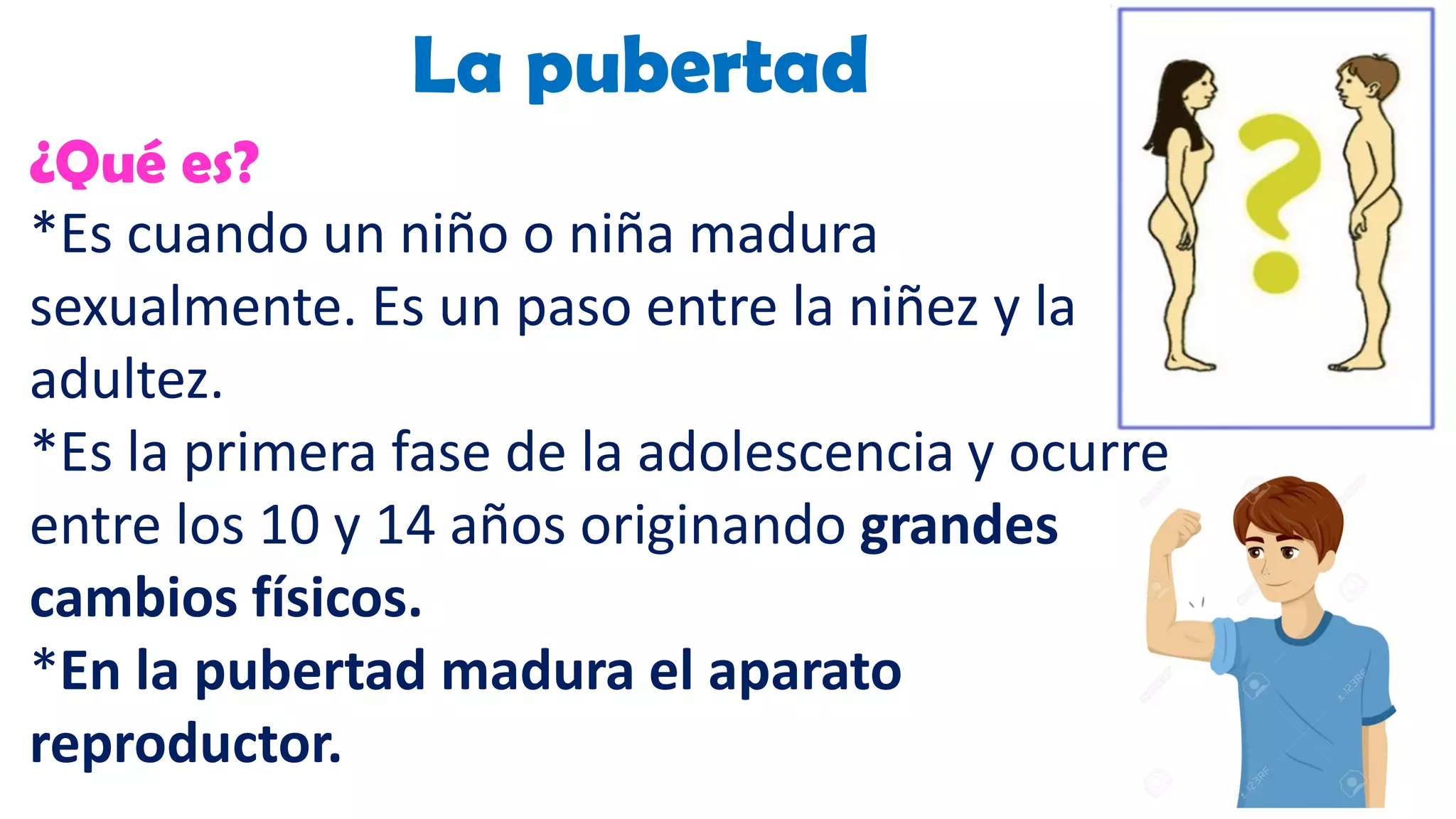 Signos Y Etapas De La Pubertad En Las Niñas – WFOT