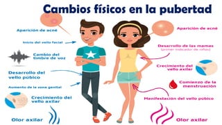La pubertad | PDF