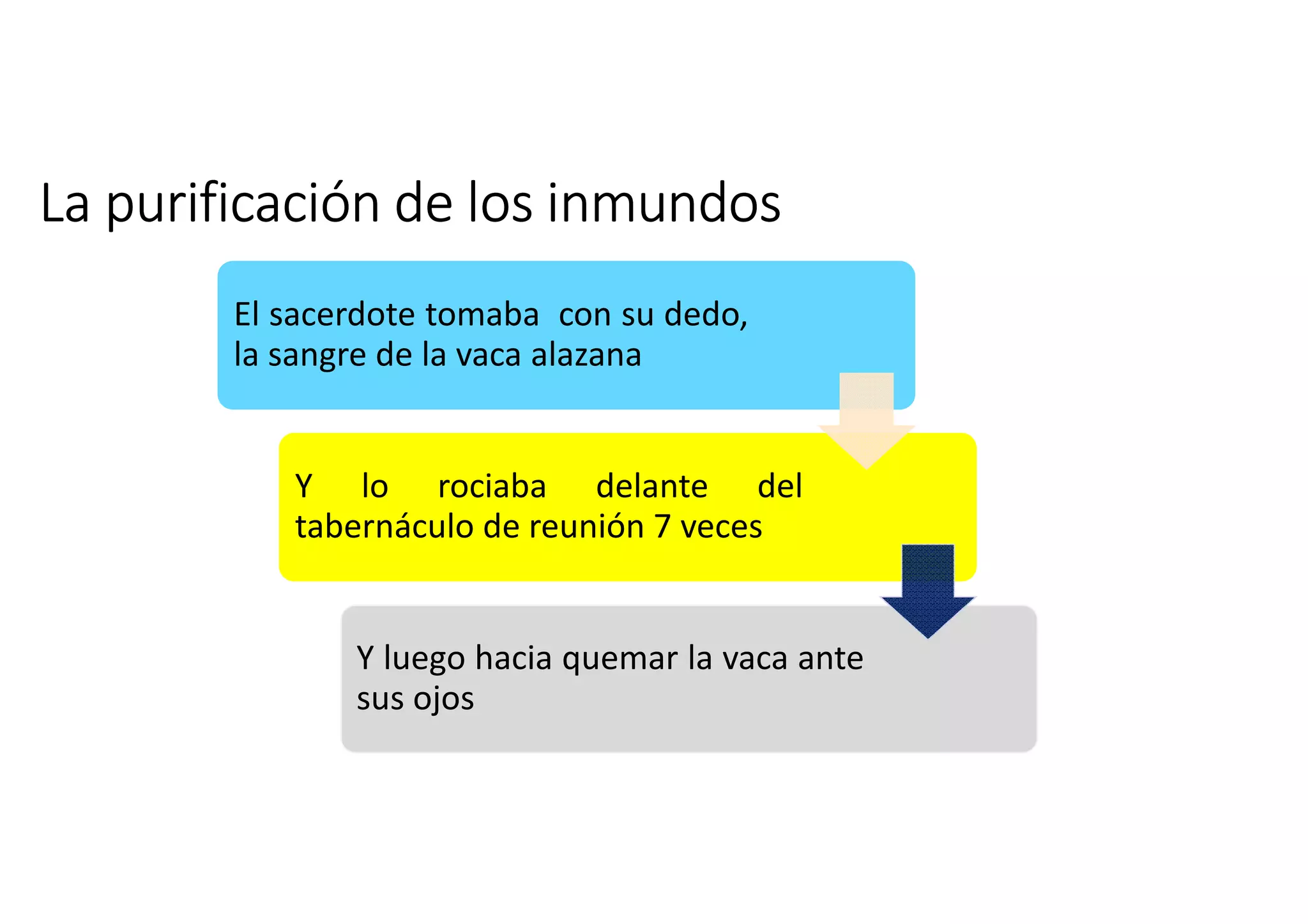 La purificación de los inmundos | PDF