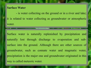 Surface Water | PPTX