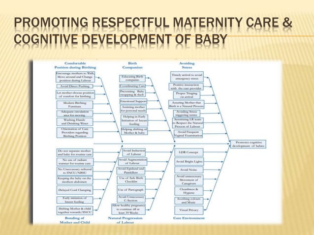 LaQshya programme | PPTX | Pregnancy | Reproductive Health