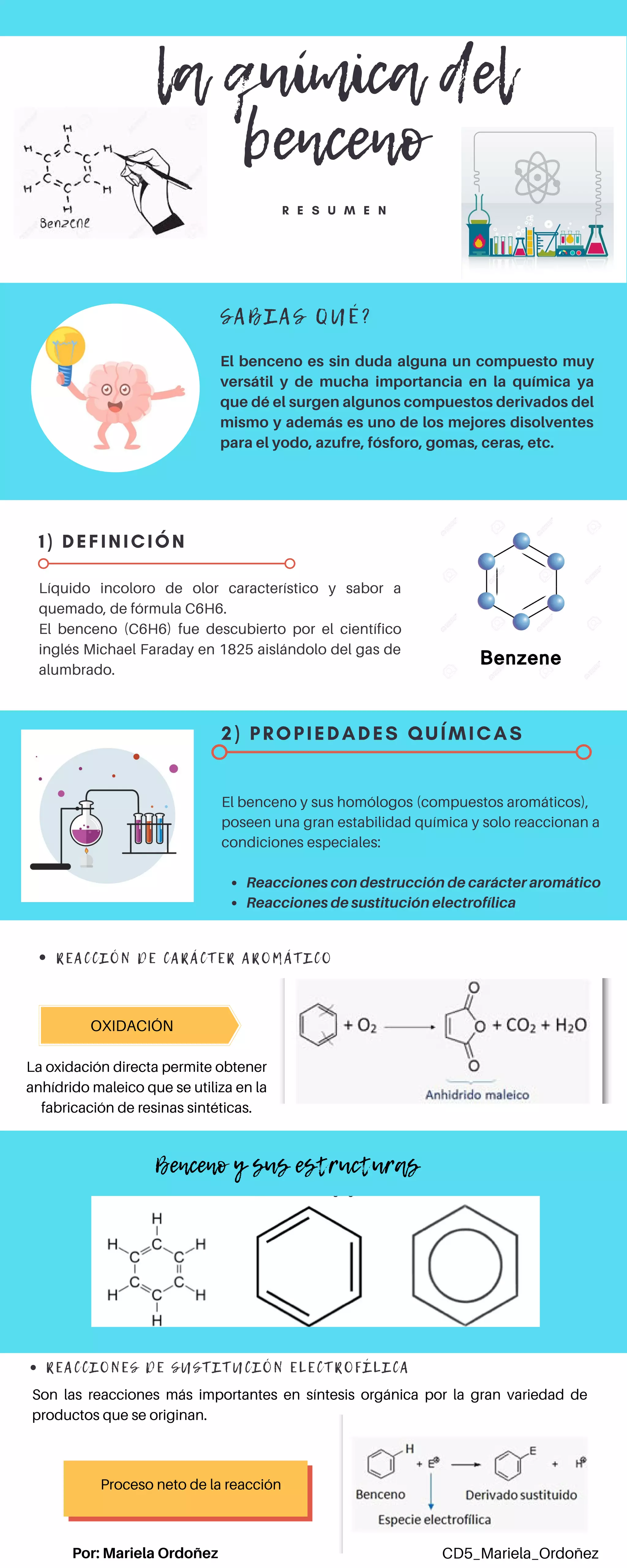 La quimica del benceno | PDF