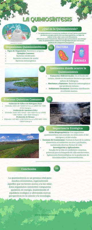 la_quimiosintesis infografia njjiijijjnj | PDF