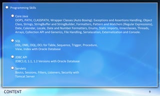 Lara-Company Presentation | PPT