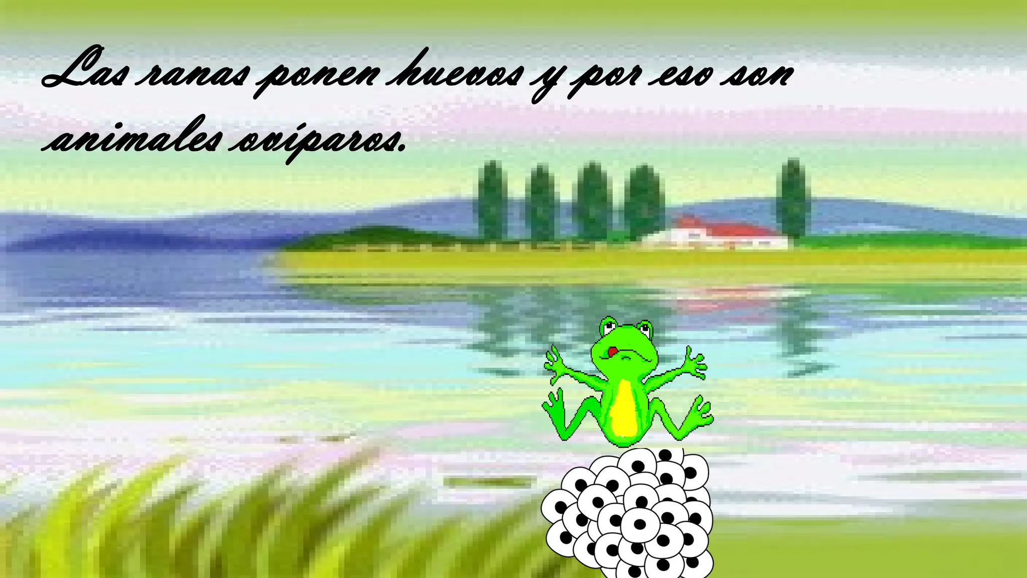 Cuento De La Rana Para Niños Del Nivel Primario Pptx