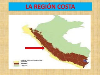 La región costa | PPTX