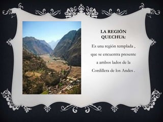 La región quechua | PPTX