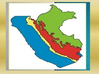La región selva 2º | PPT