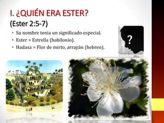 La reina de esperanza ester | PPTX