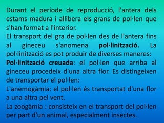 La reproducció | PPTX