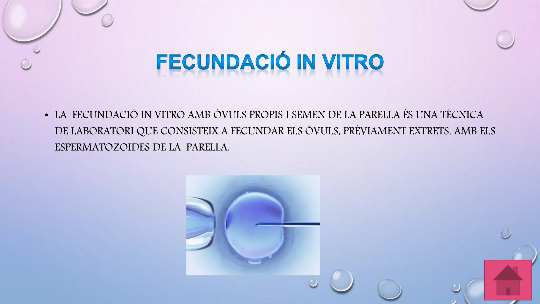 La reproducció humana grup 4 6è a_roureda | PPT