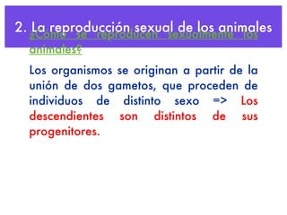 La ReproduccióN De Los Animales | PPT