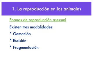 La ReproduccióN De Los Animales | PPT