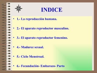 La Reproducción Humana Mario A. | PPT | Pregnancy | Reproductive Health