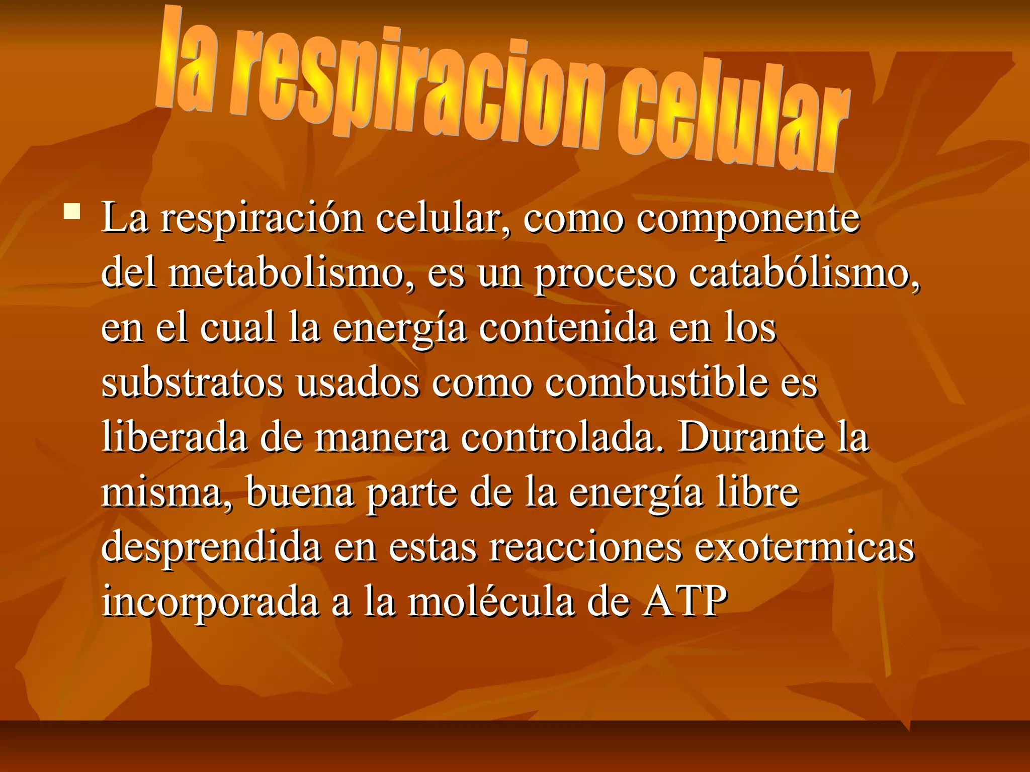 La respiracion celular | PPT