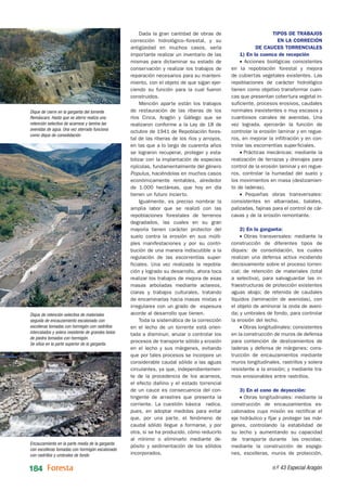 La restauracion hidrologico_forestal | PDF