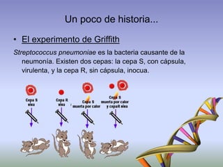 La Revolución Genética | PPTX
