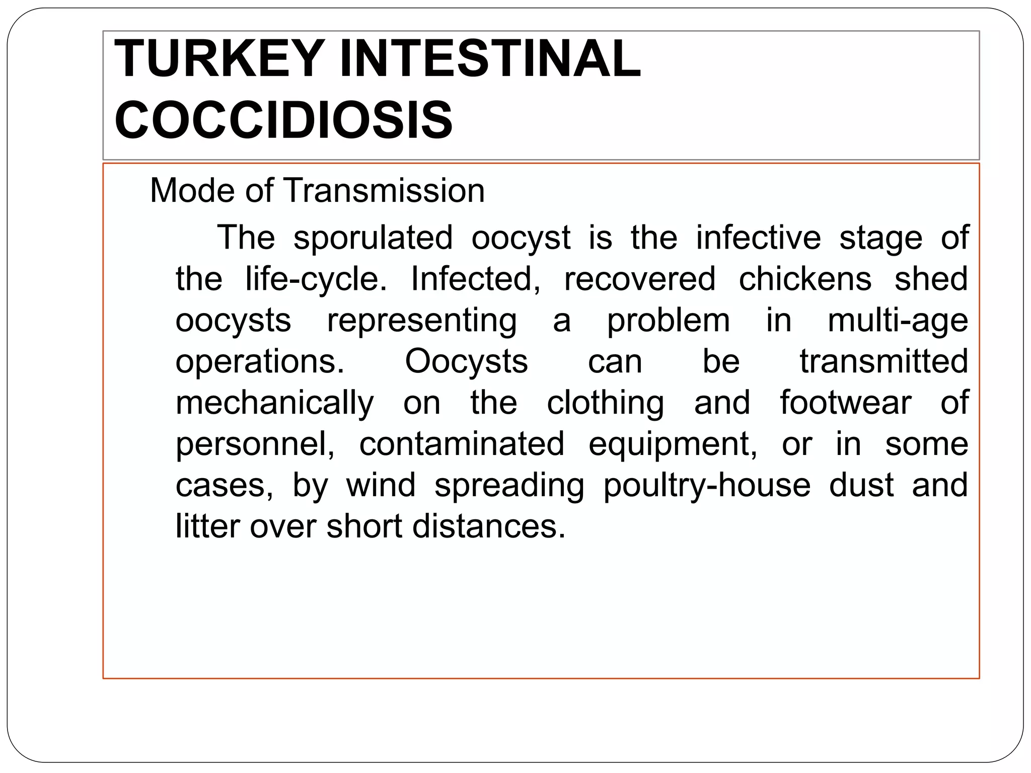 Intestinal Parasites of Poultry | PPTX