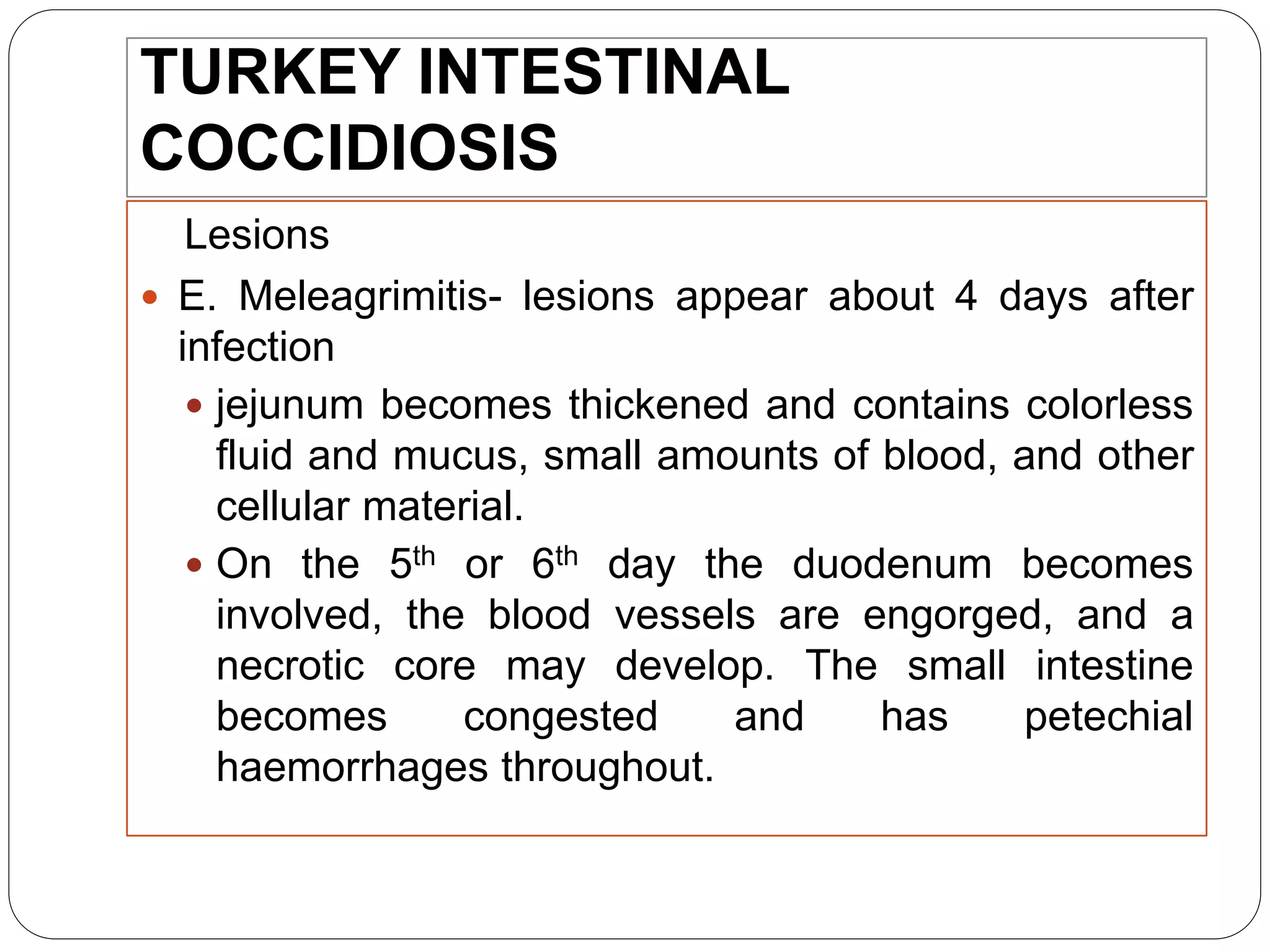 Intestinal Parasites of Poultry | PPTX