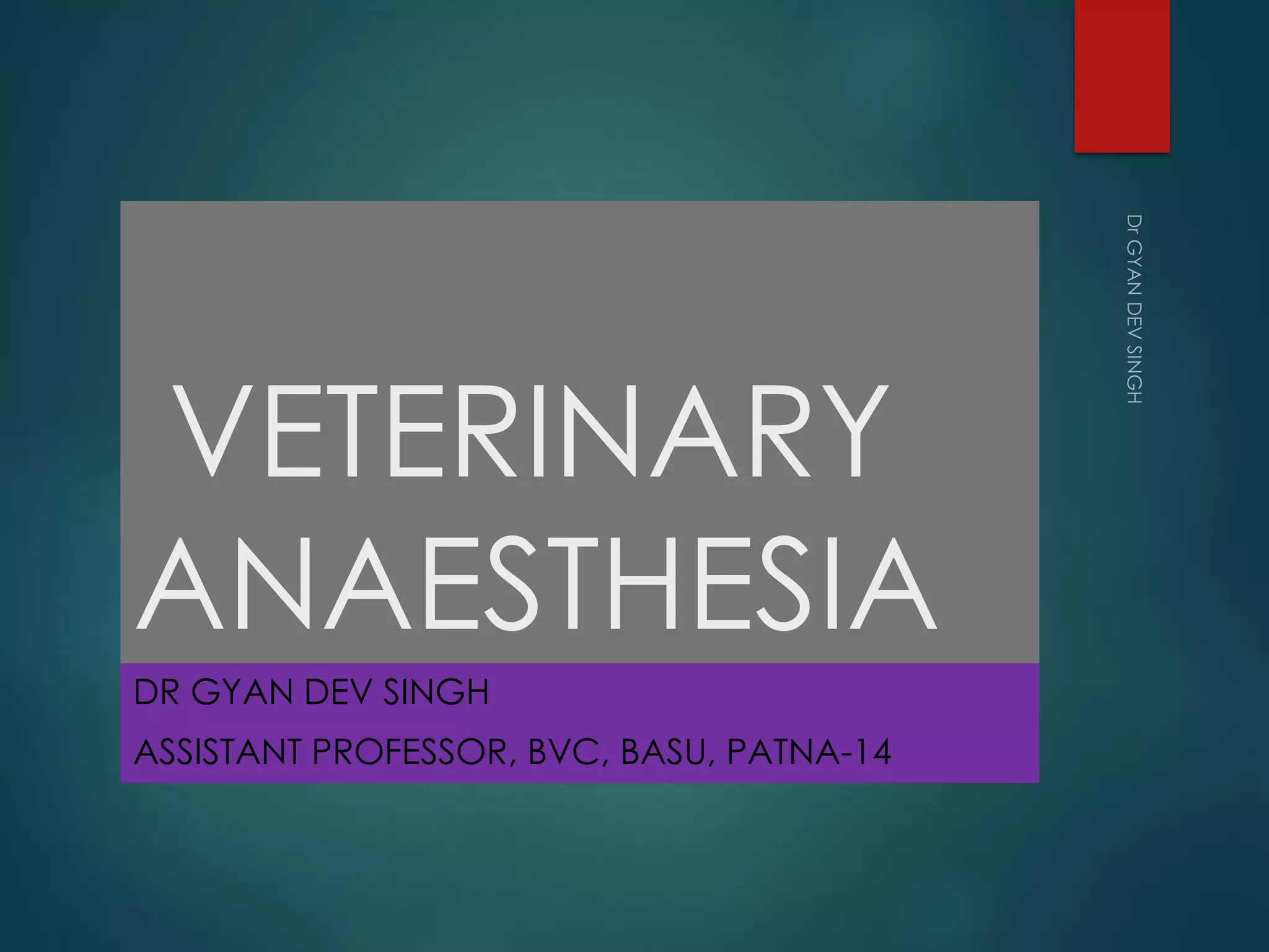Large animal anaesthesia copy (3) pdf | PDF