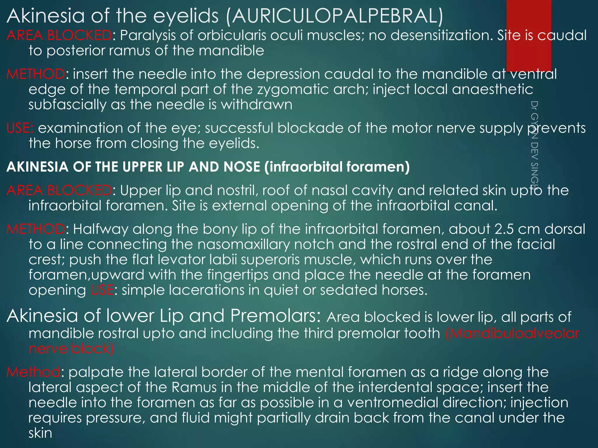Large animal anaesthesia copy (3) pdf | PDF