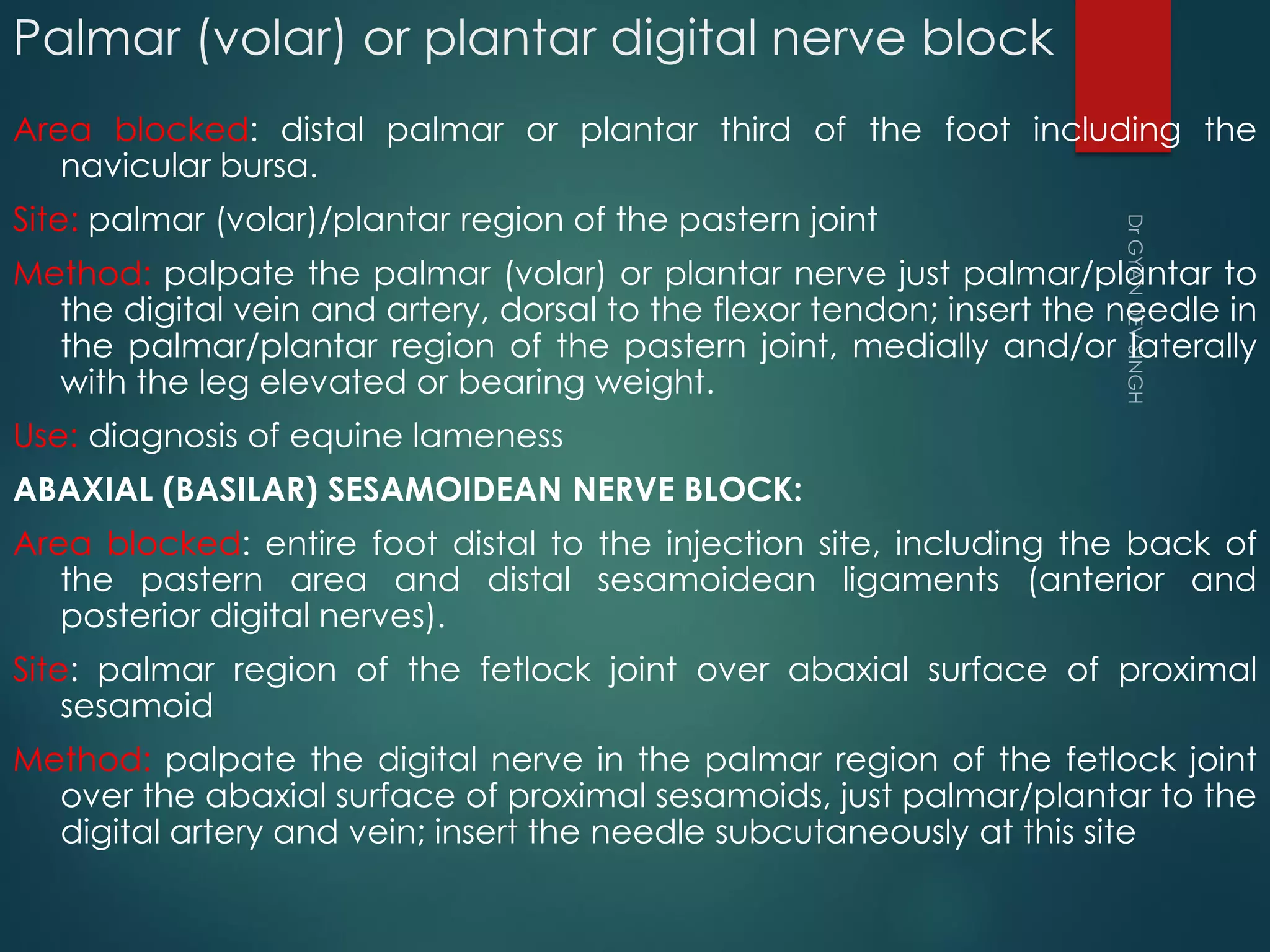 Large animal anaesthesia copy (3) pdf | PDF