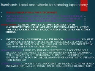 Large animal anaesthesia copy (3) pdf | PDF