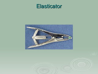 Large animal instruments | PPT