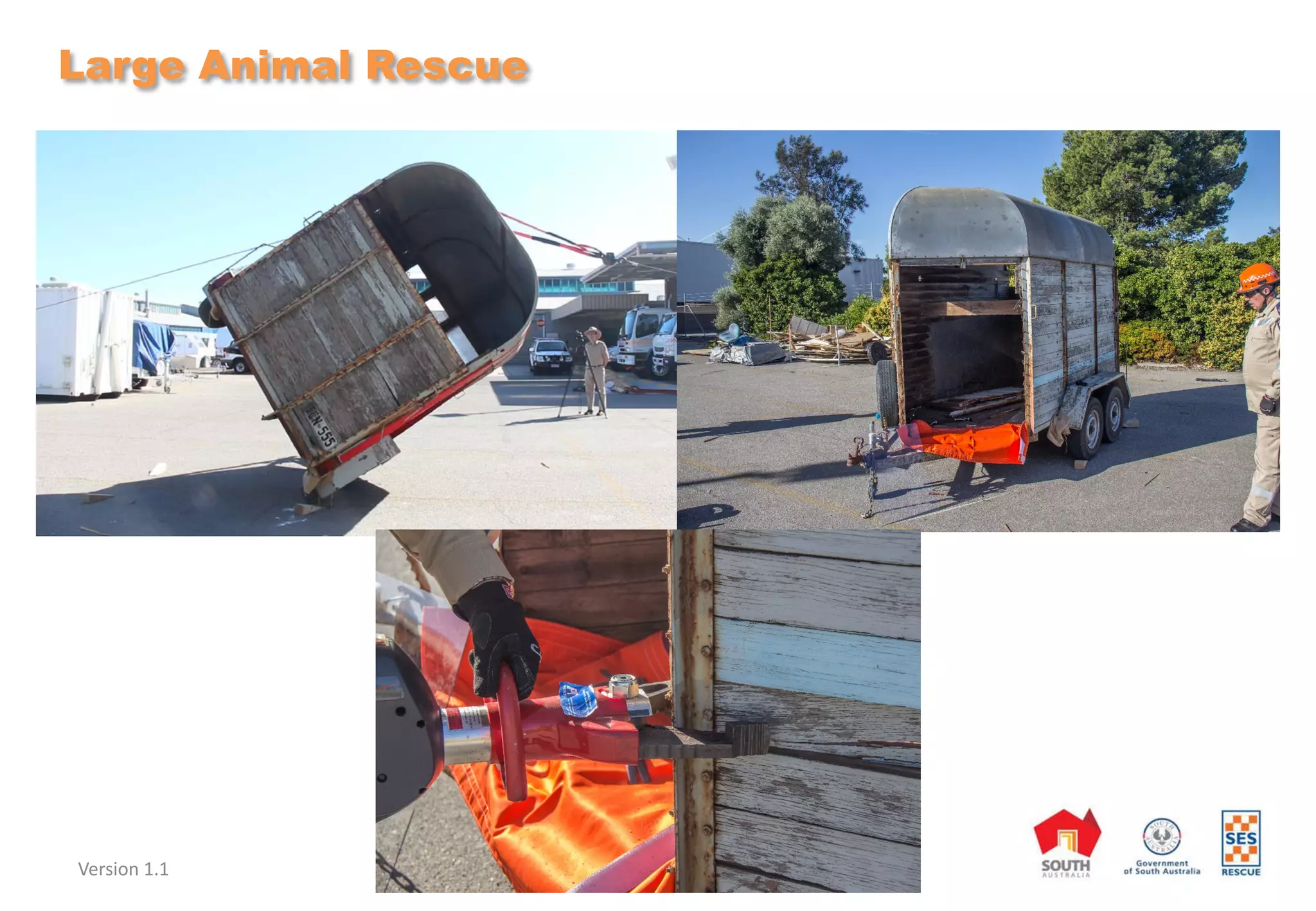 Large Animal Rescue SA SES capability | PDF