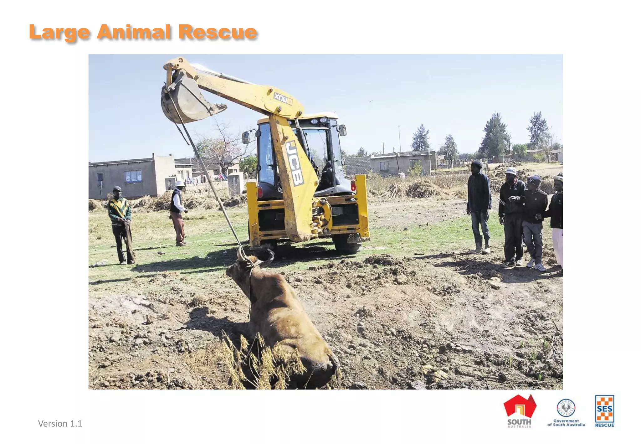 Large Animal Rescue SA SES capability | PDF