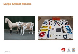 Large Animal Rescue SA SES capability | PDF