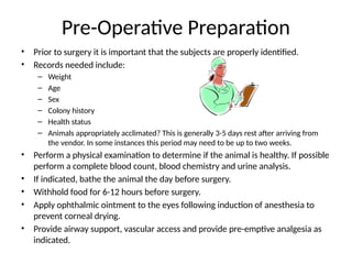 Veterinary Large animal surgery at glance | PPTX