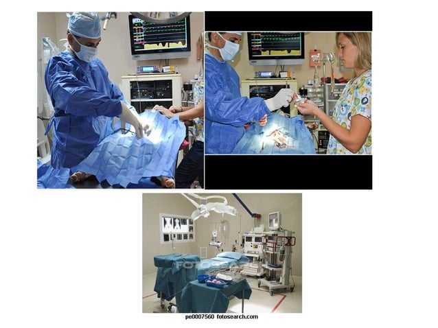 Veterinary Large animal surgery at glance | PPTX