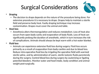 Veterinary Large animal surgery at glance | PPTX