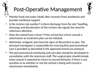 Veterinary Large animal surgery at glance | PPTX