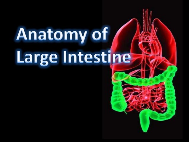Large bowel obstruction | PPTX | Digestive Disorders | Diseases and ...