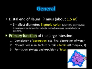Large bowel obstruction | PPTX