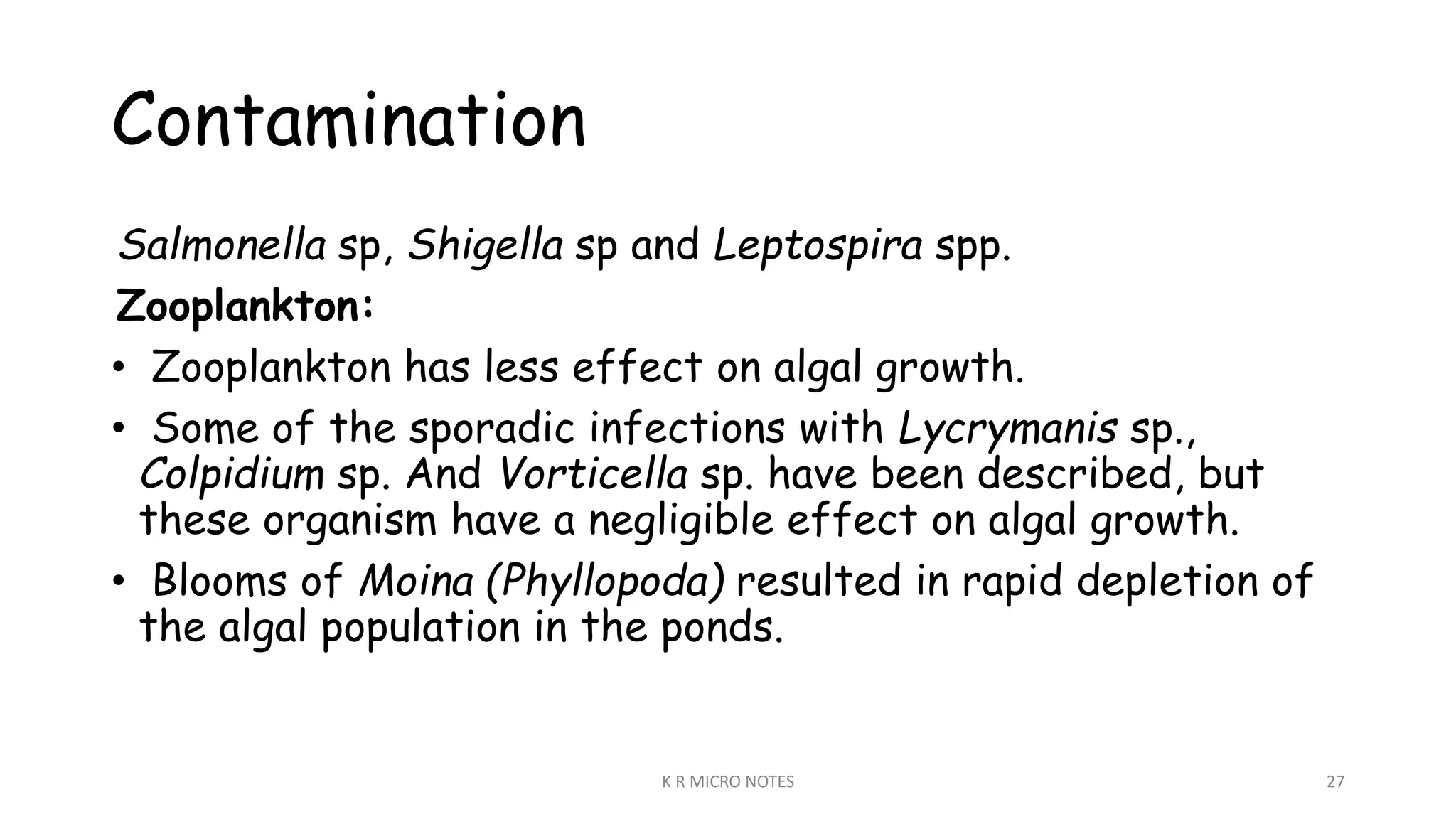 Large cultivation of algae in Pond Design | PPTX