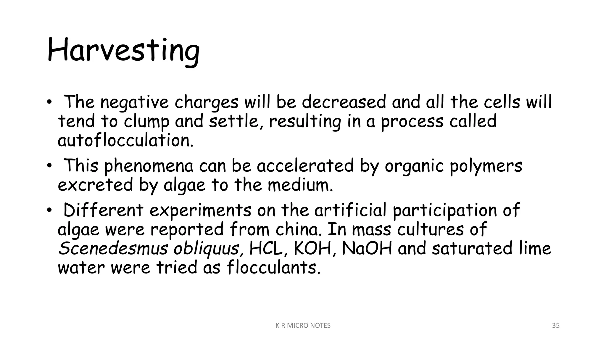 Large cultivation of algae in Pond Design | PPTX