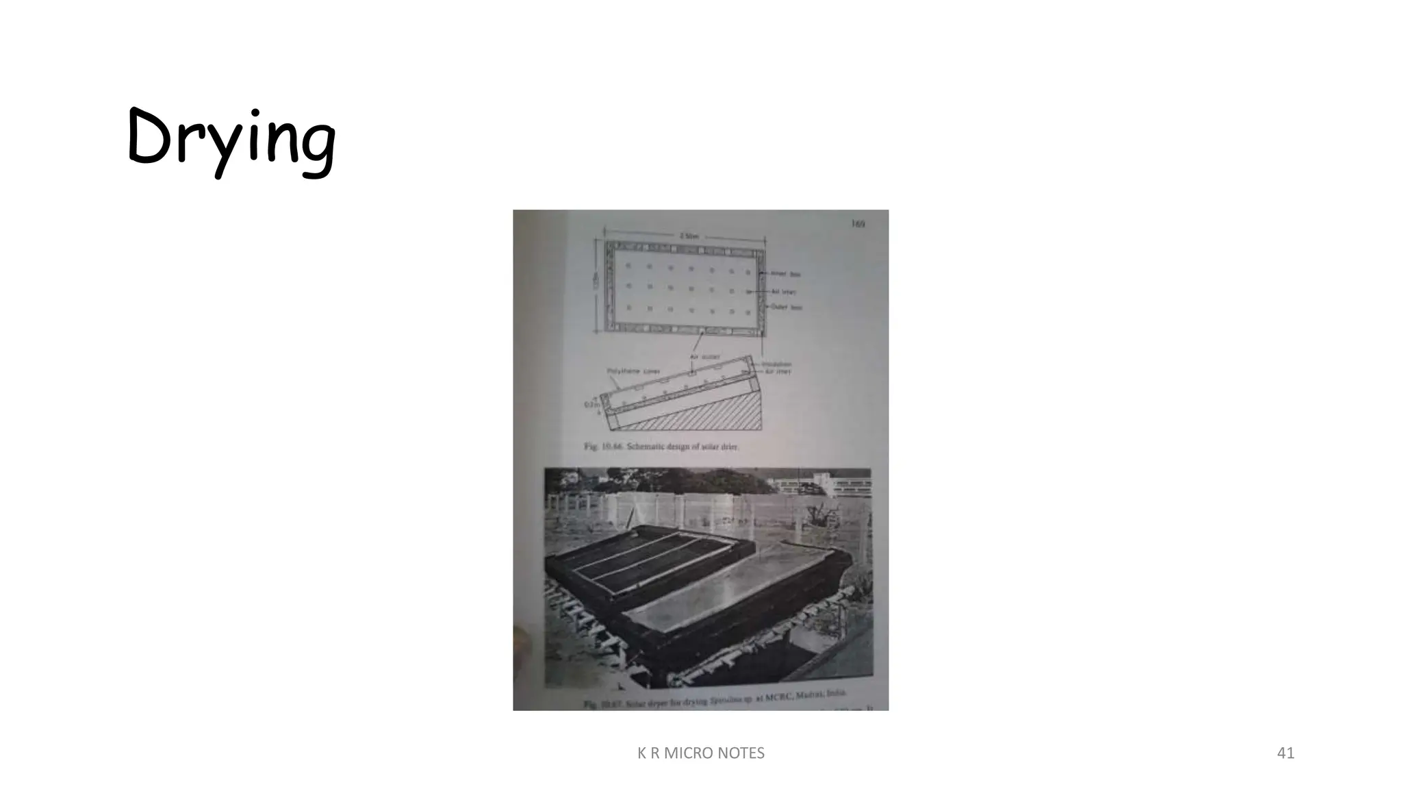 Large cultivation of algae in Pond Design | PPTX