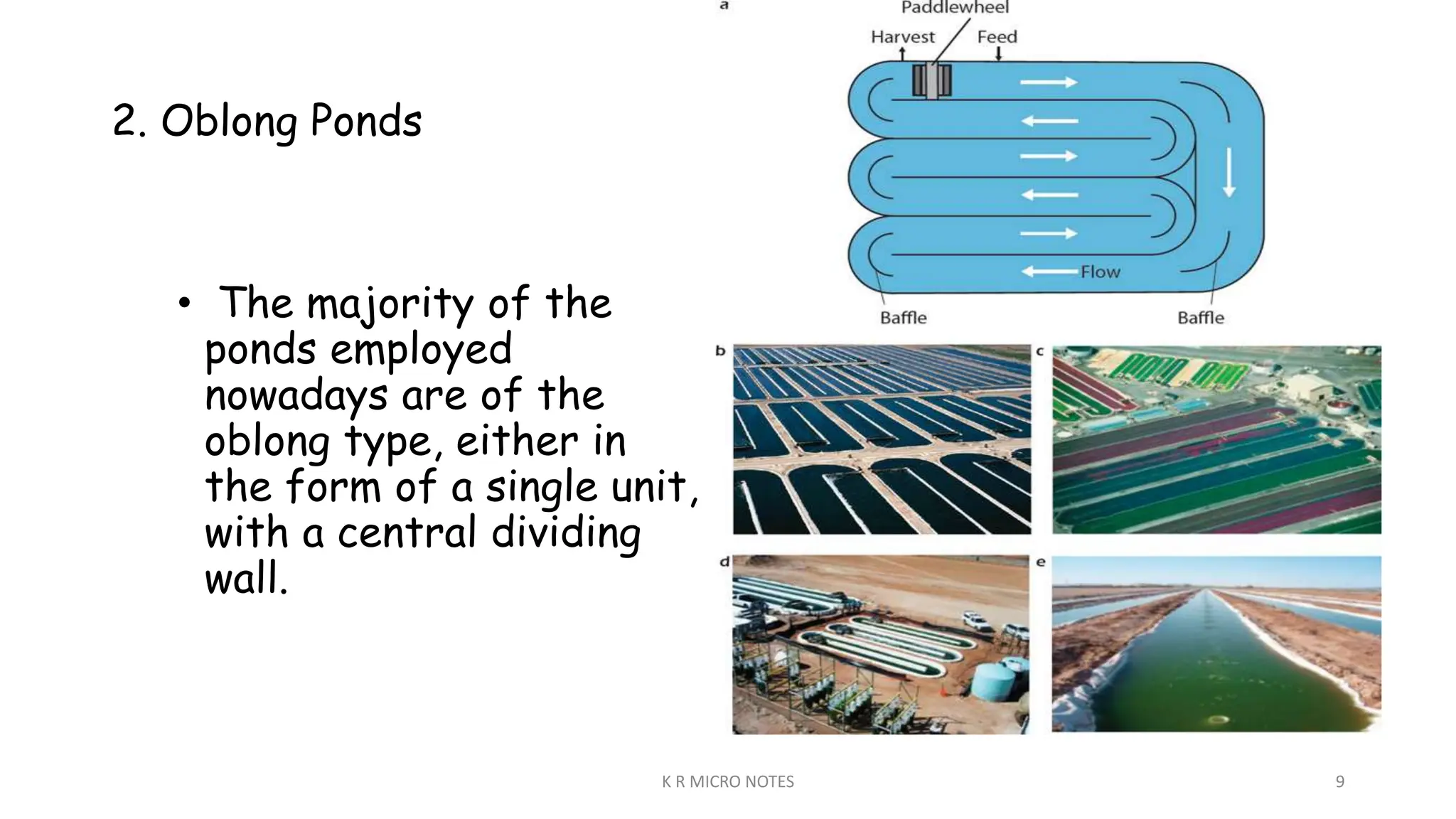 Large cultivation of algae in Pond Design | PPTX