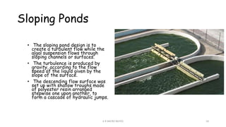 Large cultivation of algae in Pond Design | PPTX