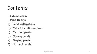 Large cultivation of algae in Pond Design | PPTX