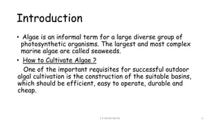 Large cultivation of algae in Pond Design | PPTX